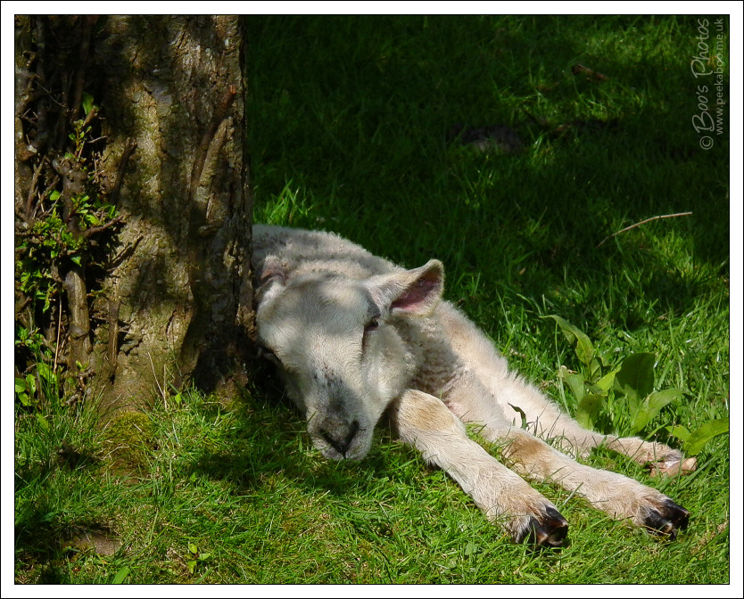 The HS10 visits the English Lake District [P] | DPReview Forums