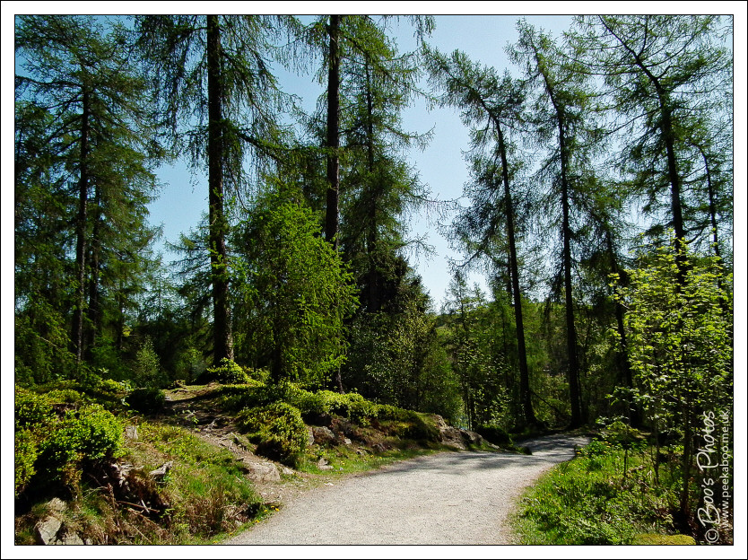 The HS10 visits the English Lake District [P] | DPReview Forums