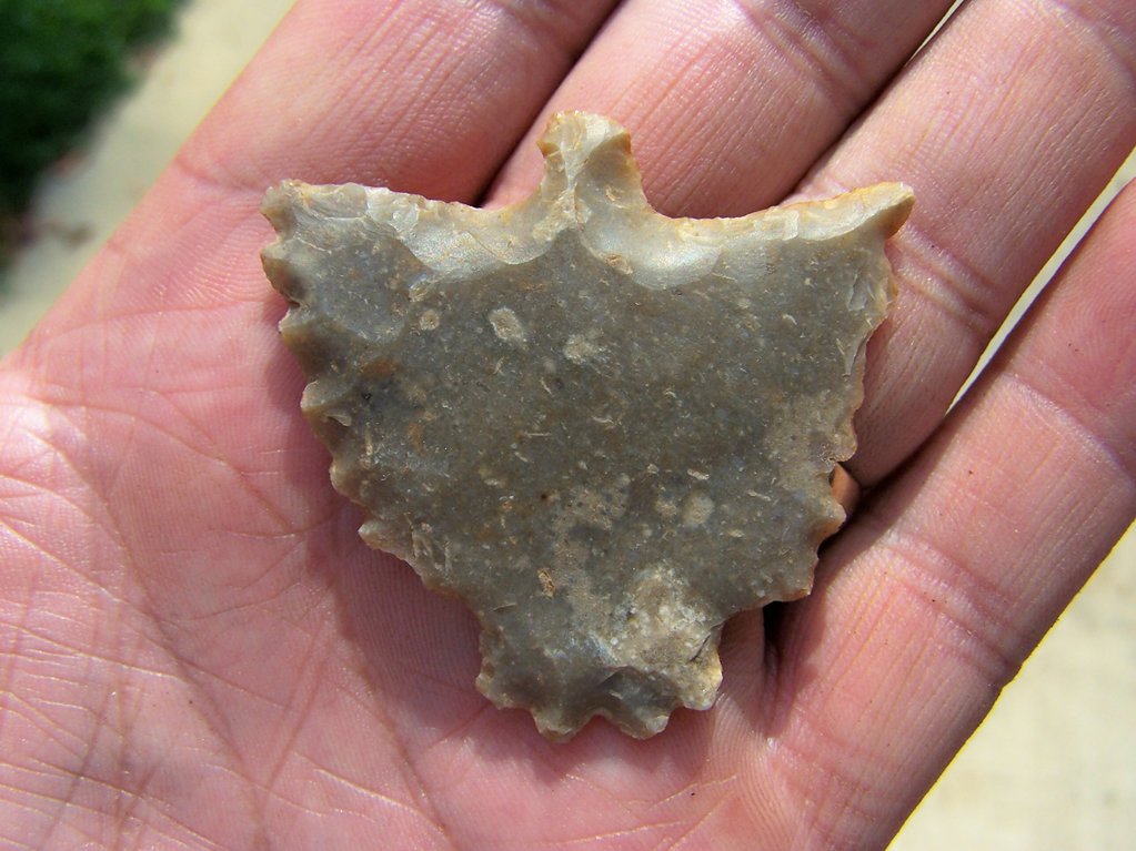 Thunderbird Effigy...Real or Myth? | TreasureNet.com