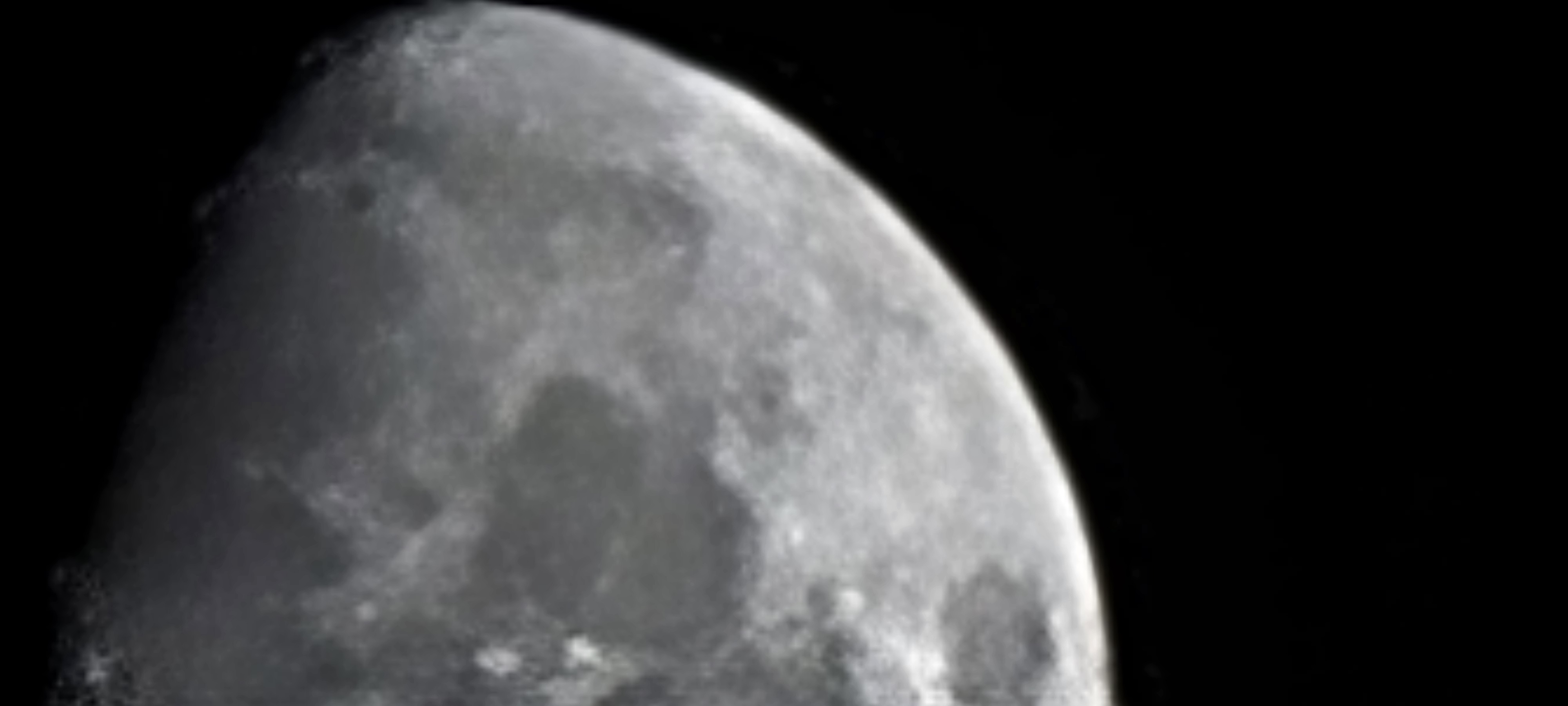 Photo 1 of 254, 2024 Fall