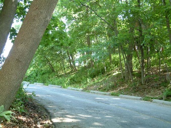 Colonel Danforth Park
