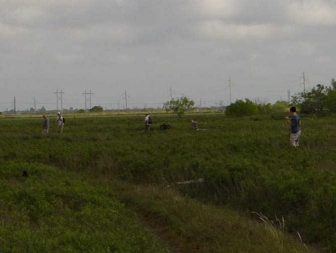 Spring break field studies contrasted.. Photo heavy (humor) - Field ...