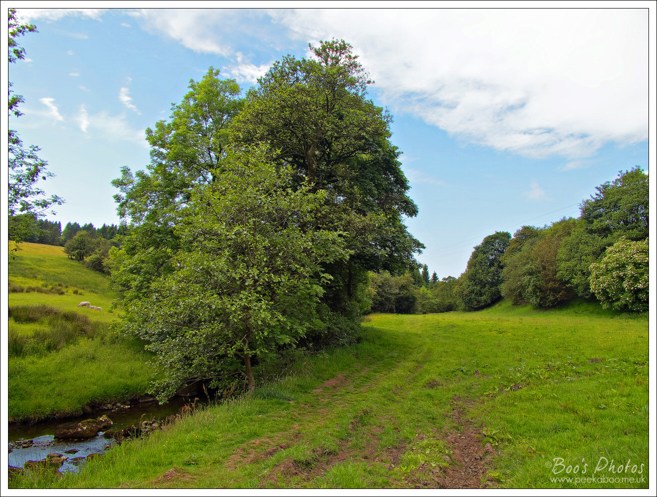 I've fallen in love with RAW again - just needed the right software | Page 2 | DPReview Forums