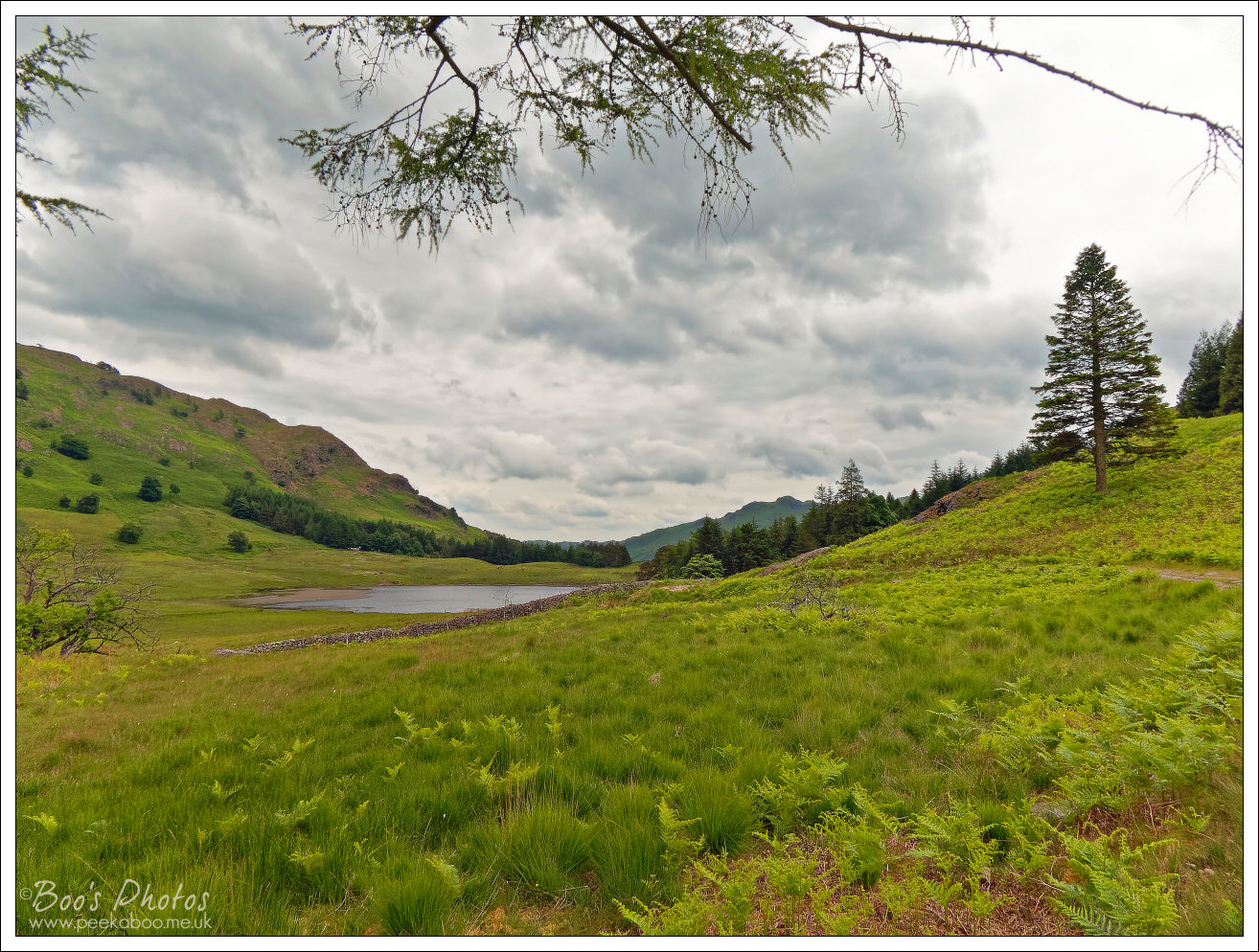 I've fallen in love with RAW again - just needed the right software | Page 2 | DPReview Forums