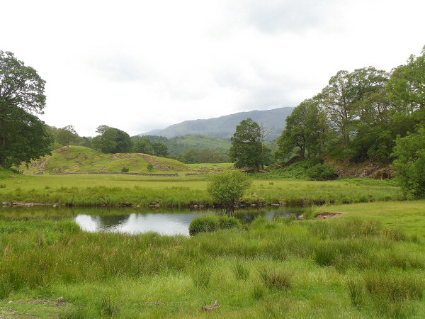 I've fallen in love with RAW again - just needed the right software | Page 2 | DPReview Forums