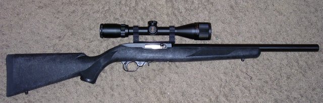 Best .22LR round to stock up on as a hunting round? - AR15.COM