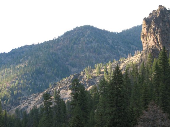 Middle Fork Sheep | Hunt Talk