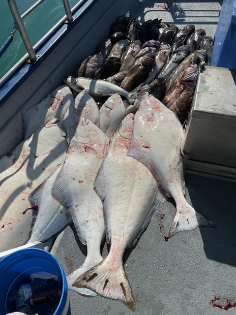 2024 AK fishing trip in the books | Hunt Talk