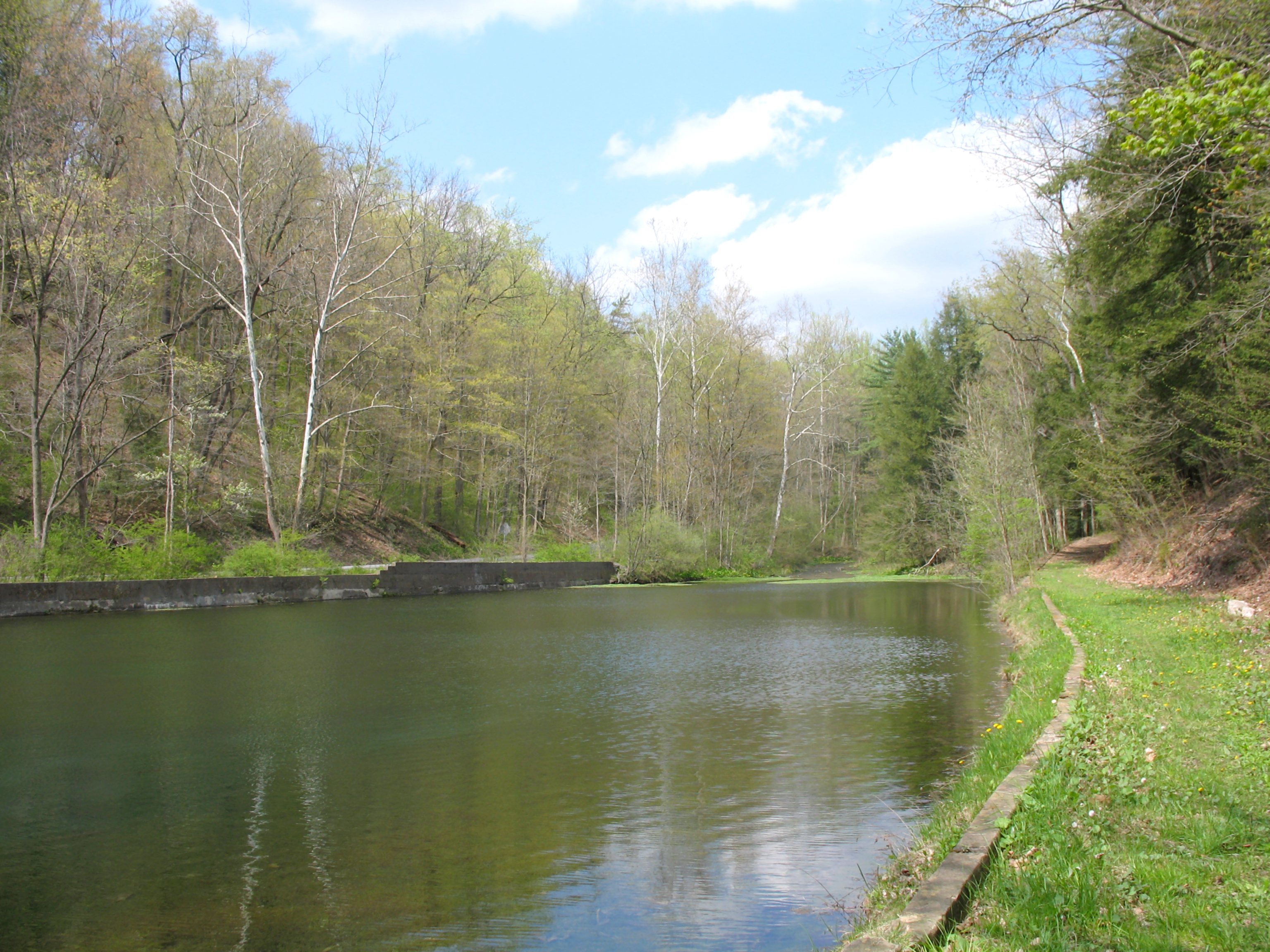 Photo 1 of 32, 100 springs