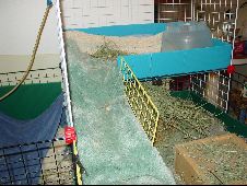 Cavy Cages - Ramps Made Easy