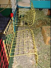 Cavy Cages - Ramps Made Easy