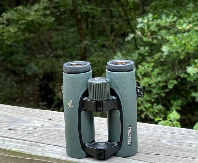 Swarovski NL Pure 8x32 vs CL Companion 8x30 | BirdForum