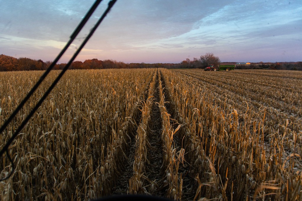 Viewing a thread - 2022 photos