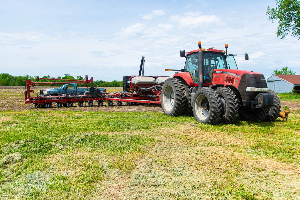 Viewing a thread - 2022 photos