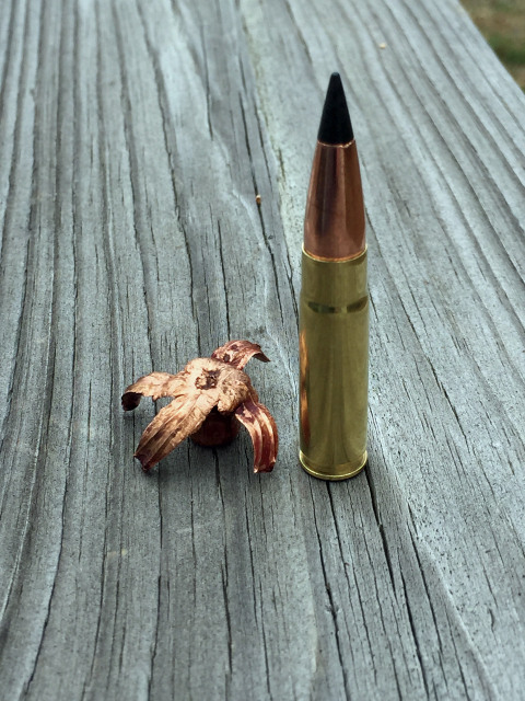 Ruger American Ranch rifle in 300 BO | RugerForum.com – Serving Ruger ...