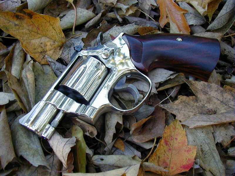 S&W K-Frame Snub Club - The Firing Line Forums