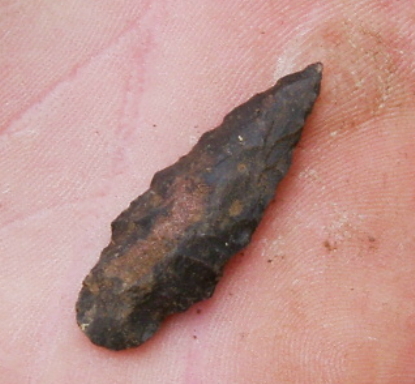 Abo fused shale blade - PaleoPlanet