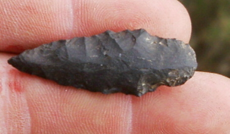 Abo fused shale blade - PaleoPlanet