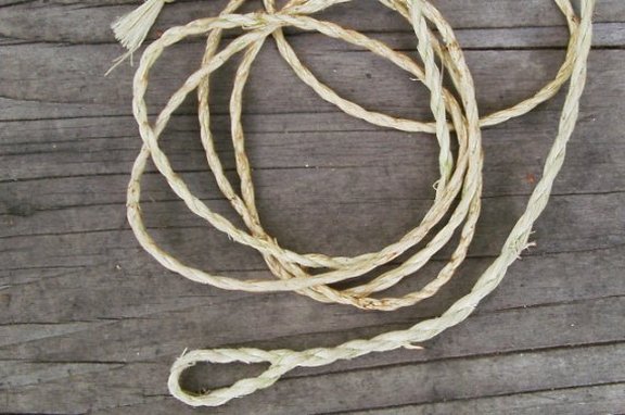 Processing Yucca Fibers - PaleoPlanet