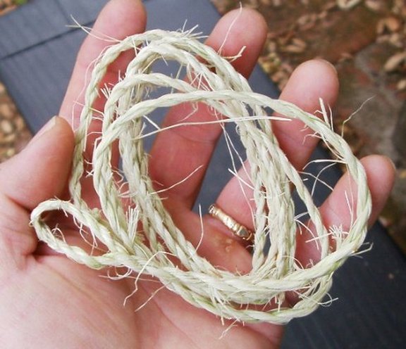 Processing Yucca Fibers - PaleoPlanet