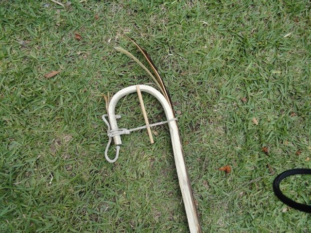 Making an Iroquois Style Lacrosse Stick - PaleoPlanet