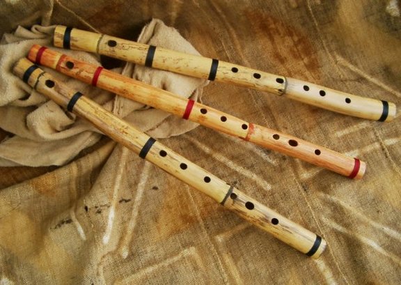 Todays Transverse Flutes - Photos - PaleoPlanet