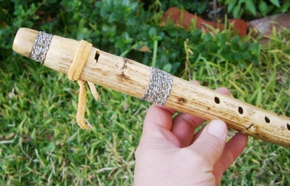 Yucca Filamentosa stem flute? - PaleoPlanet