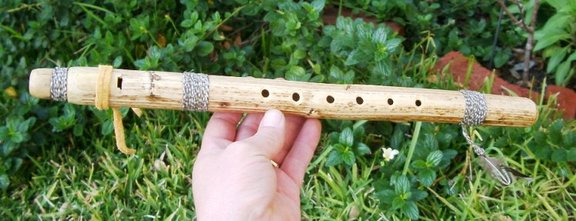 Yucca Filamentosa stem flute? - PaleoPlanet