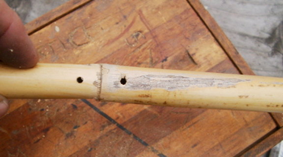 Making a N. American Style Flute from Rivercane - PaleoPlanet