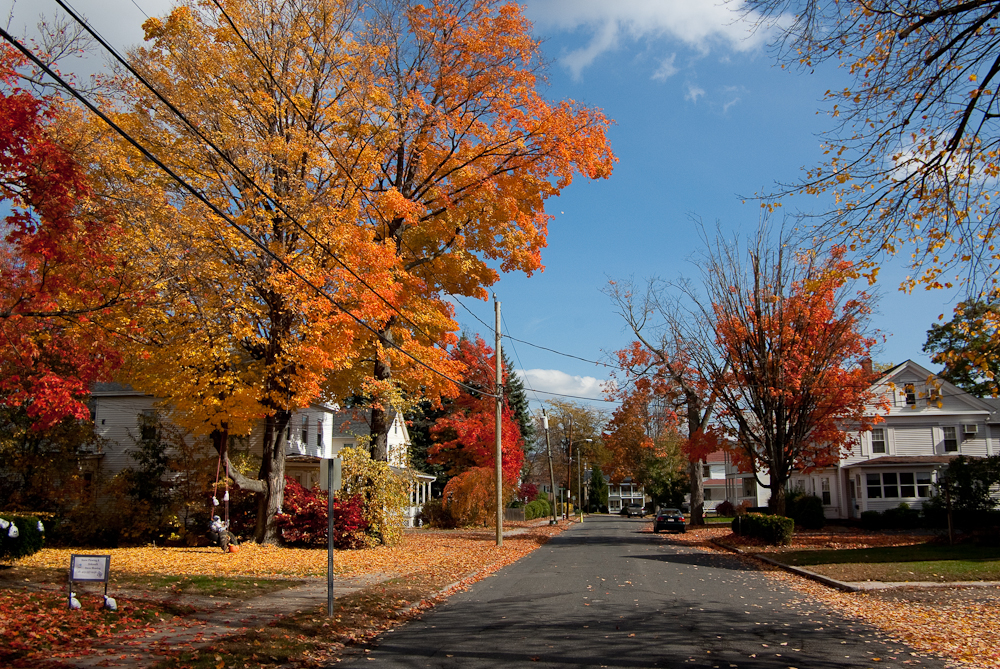 New England Fall Foliage up high - PentaxForums.com