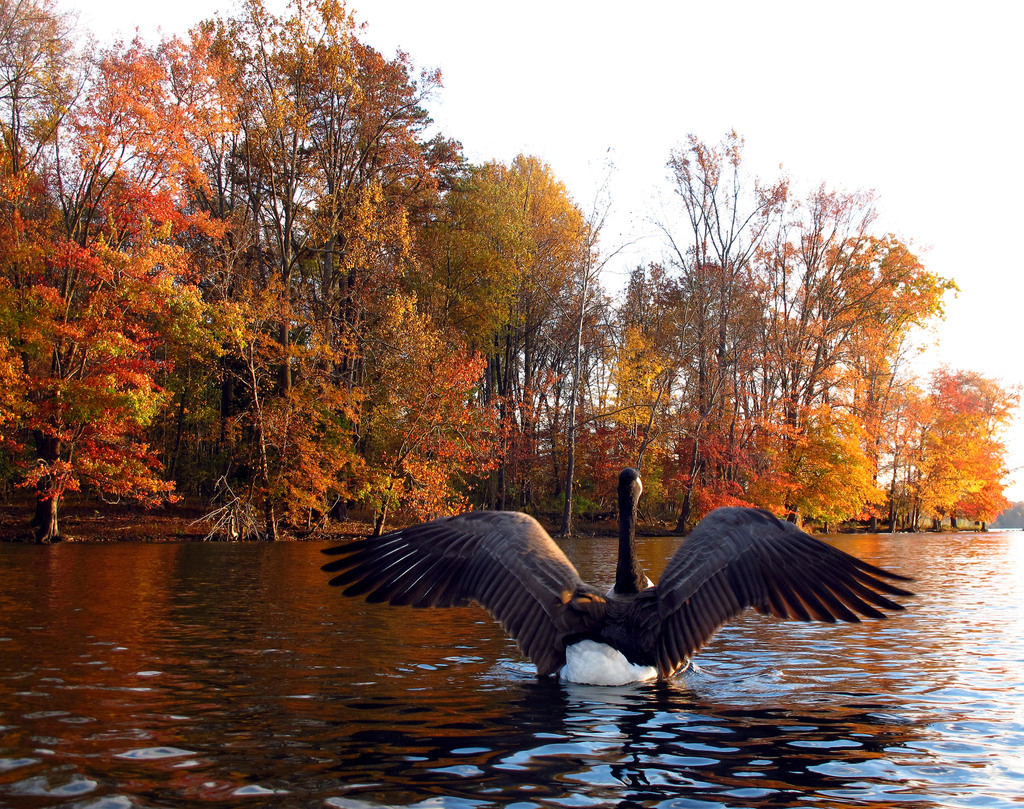 A Fall foliage ride around Baltimore County, Maryland | Adventure Rider