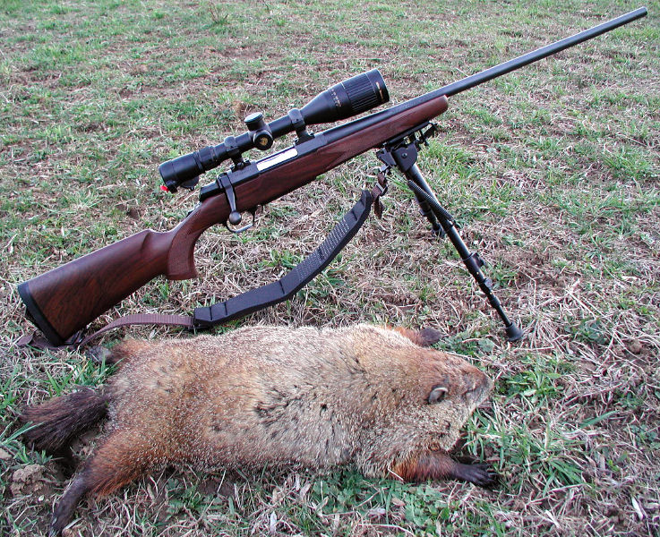 Browning A Bolt Micro Hunter/Micro Medallion vs. CZ 527 | Varmint ...