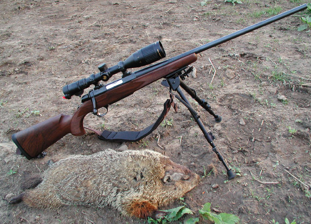 Browning A Bolt Micro Hunter/Micro Medallion vs. CZ 527 | Varmint ...