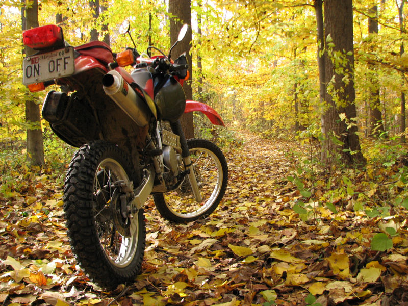 Motorcycle Photography...Post your best! | Page 45 | Adventure Rider