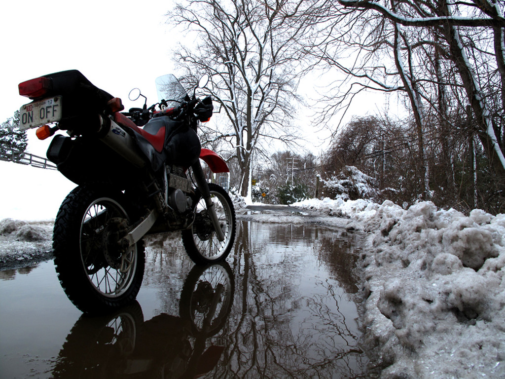 Motorcycle Winter Riding Pics | Page 78 | Adventure Rider