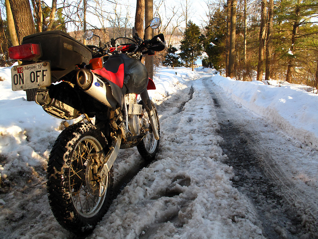 Motorcycle Winter Riding Pics | Page 78 | Adventure Rider