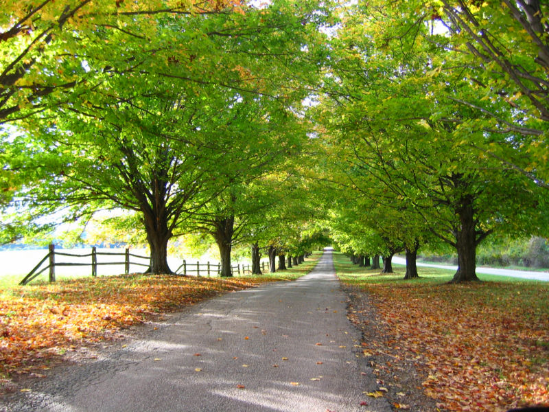 Old school rides: Let's see 'em! | Page 42 | Adventure Rider