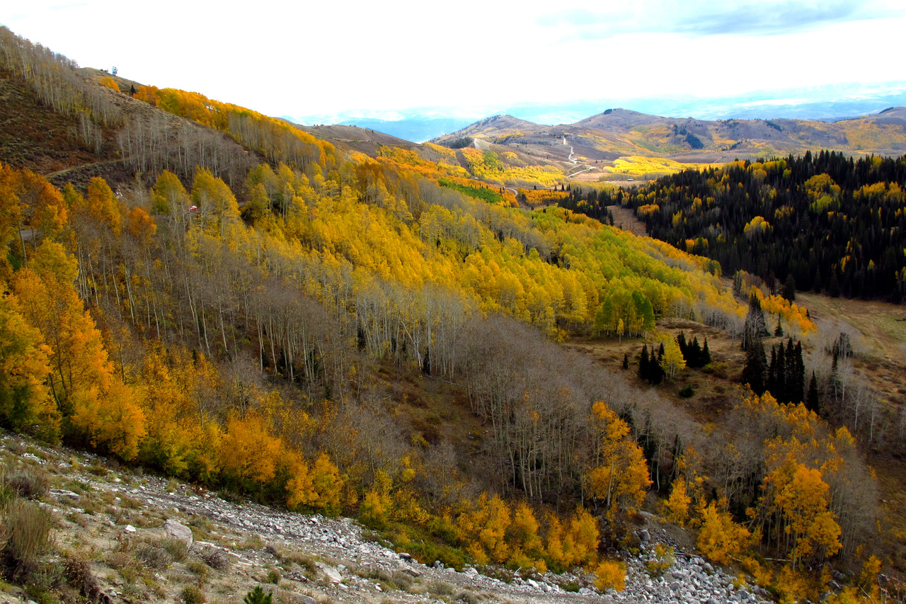 Utah fall color ride? | Adventure Rider