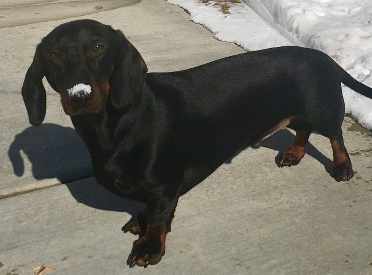 Utards whos riding what | Page 1200 | Adventure Rider