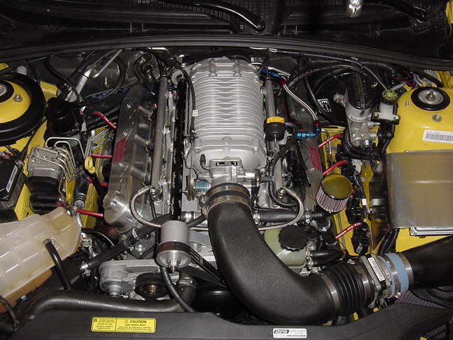 Yellow GTO's.. post! | LS1GTO Forums