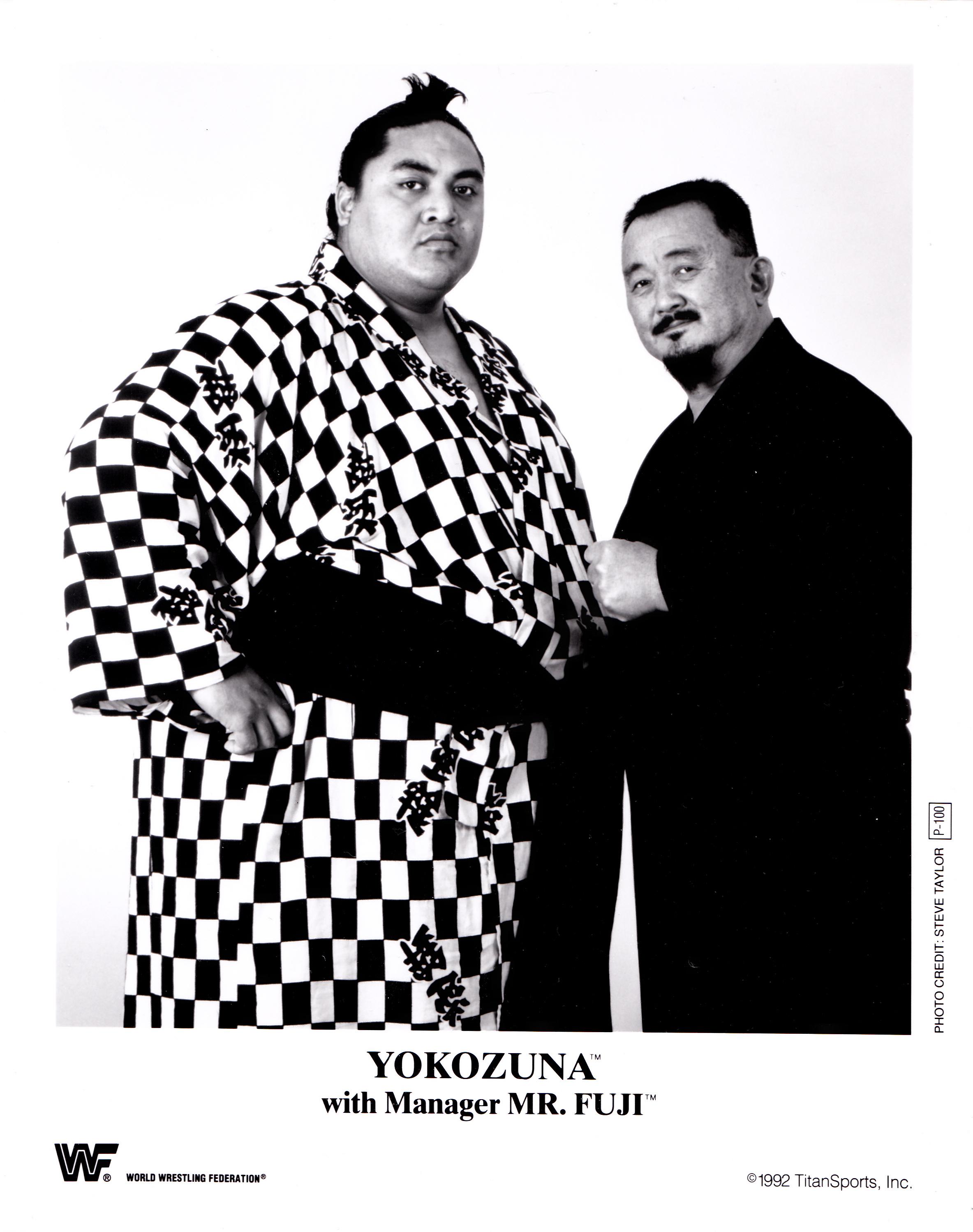 Photo 42 of 692, WWF / WWE P-Series Promo Photos