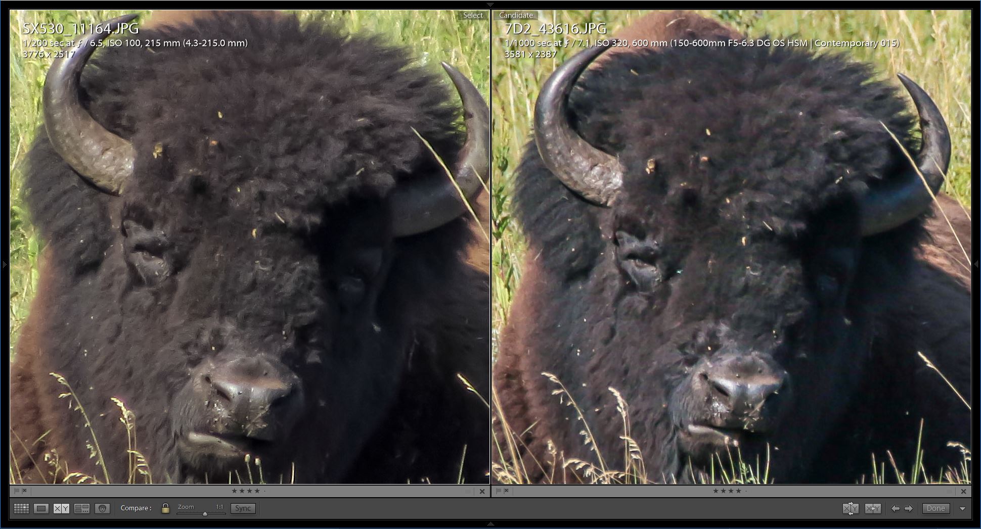 The fallacy of 35mm "equivalent focal lengths" | Page 8 | DPReview Forums