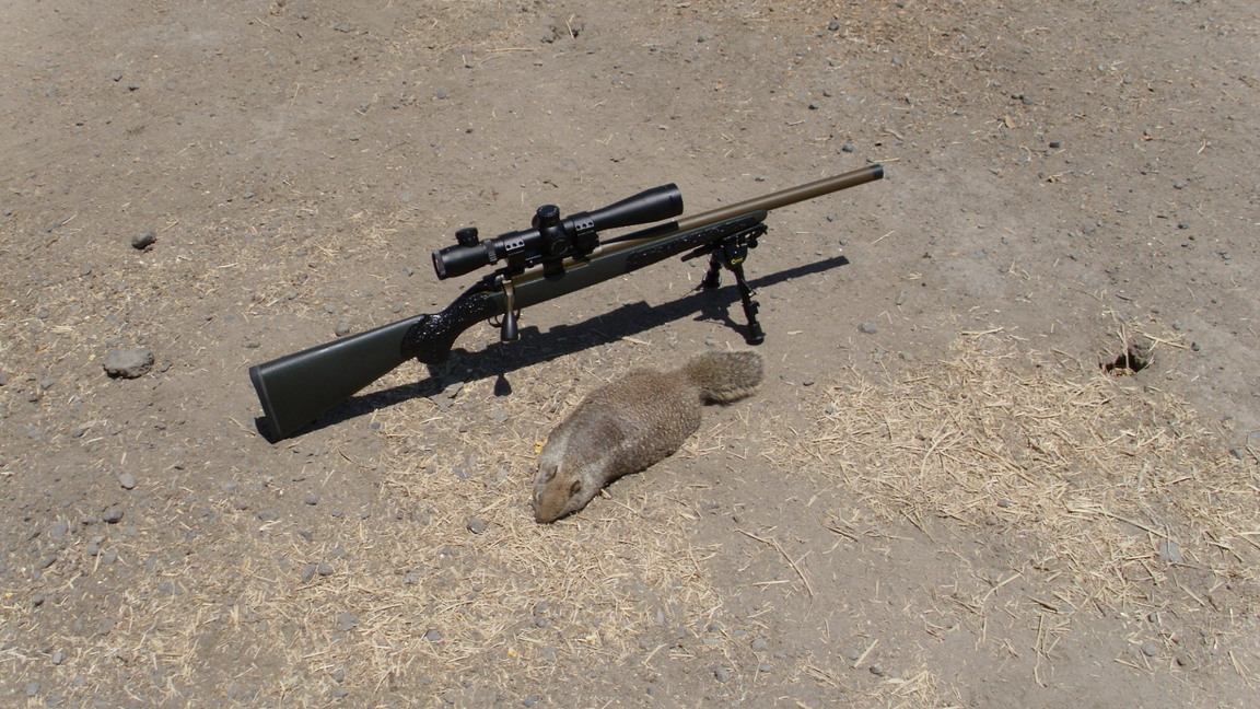 Shoot'n Squirrels with Tac-Ops Green Hornet - Calguns.net