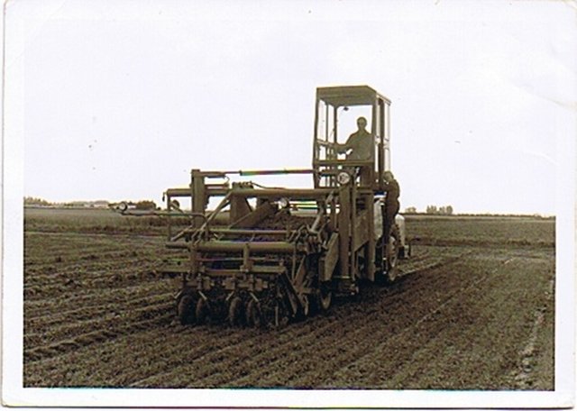2008 Potato harvest pics with 6 row gallenberg | The Combine Forum