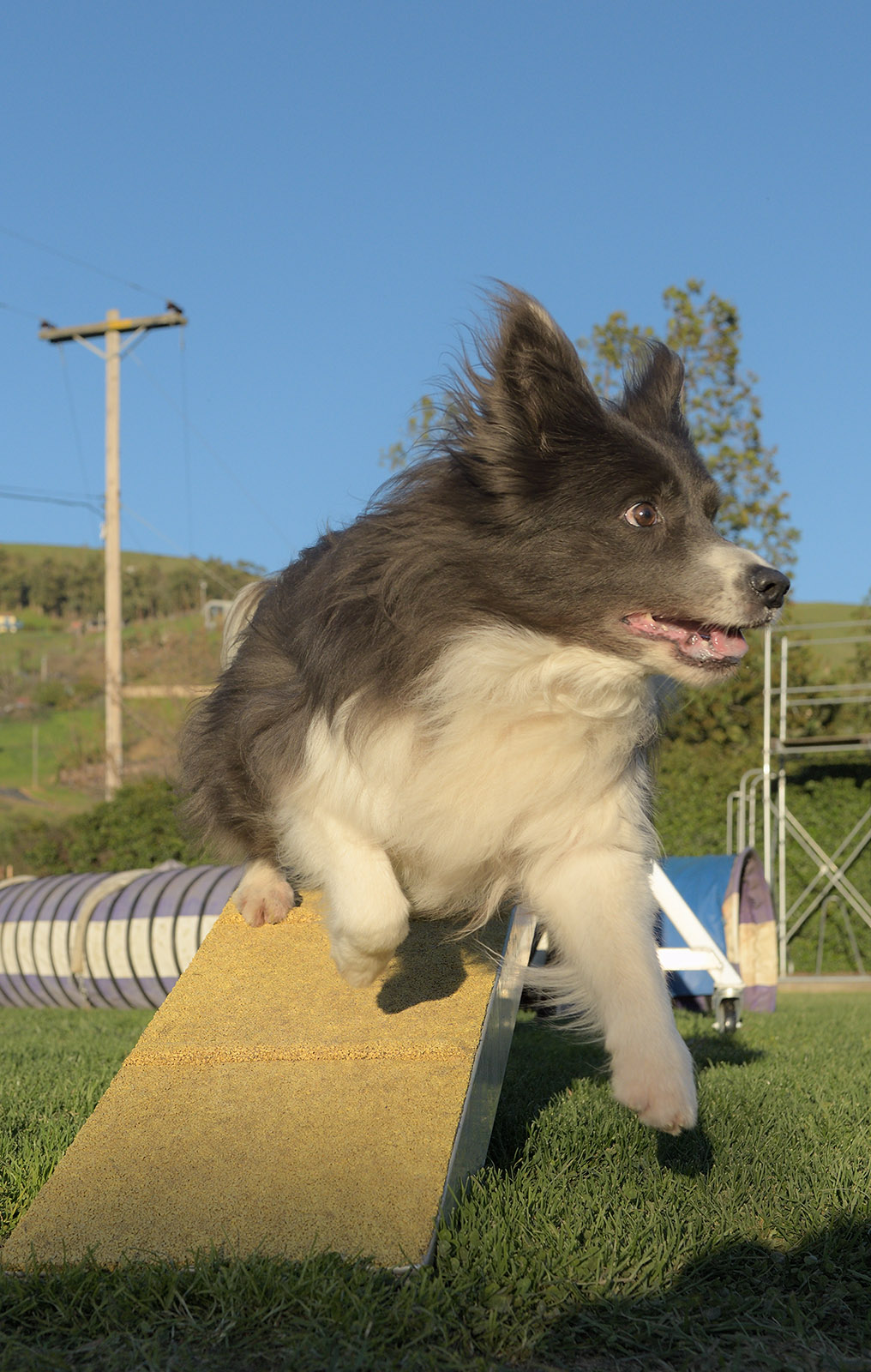 The importance of non-equivalence | Technical Discussions | The-Photo Forum