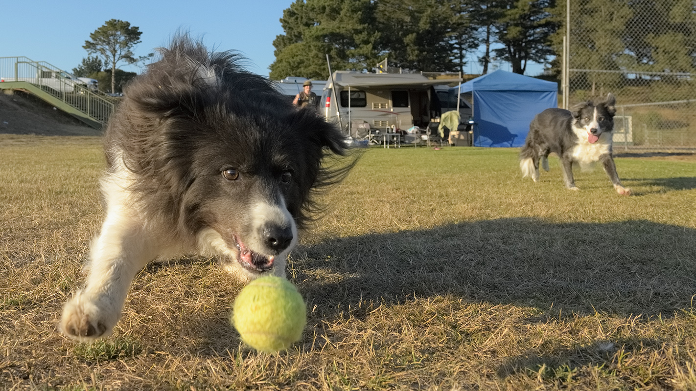 Nikon D850 and Nikon AF-S NIKKOR 24-70mm f/2.8G @ 7 fps | Showcase your ...