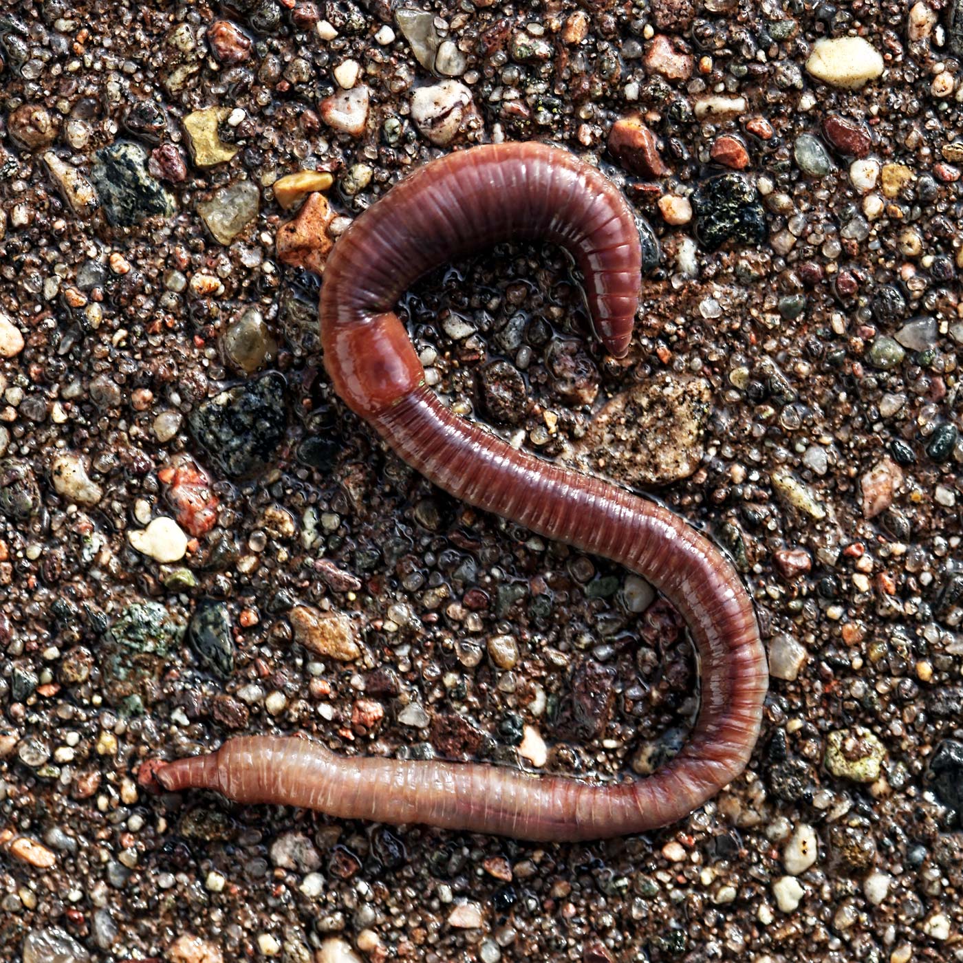 FARK.com: (6113654) Theme of Farktography Contest No. 310: "Alphabet ...