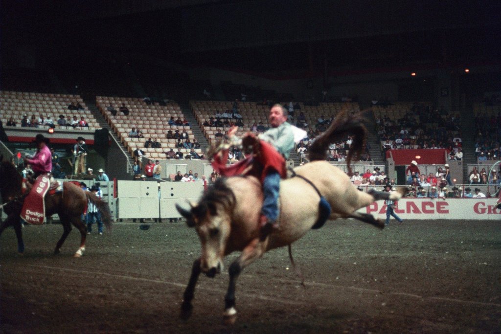 Parade and Rodeo pictures...... Rodeo | Ranchers.net