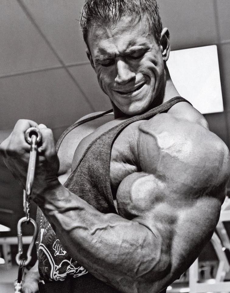 Arms of Mass Destruction - Page 33 - Bodybuilders Inc.